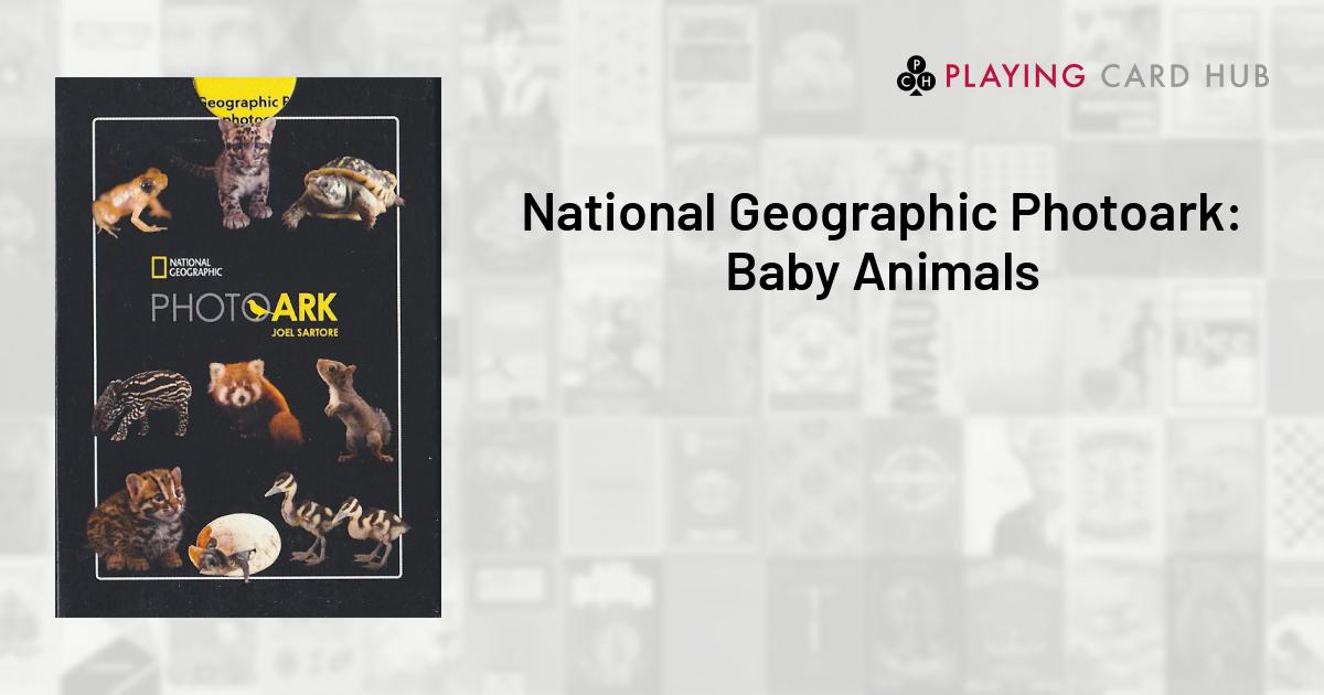 National Geographic Photoark: Baby Animals - Explore the Details at ...